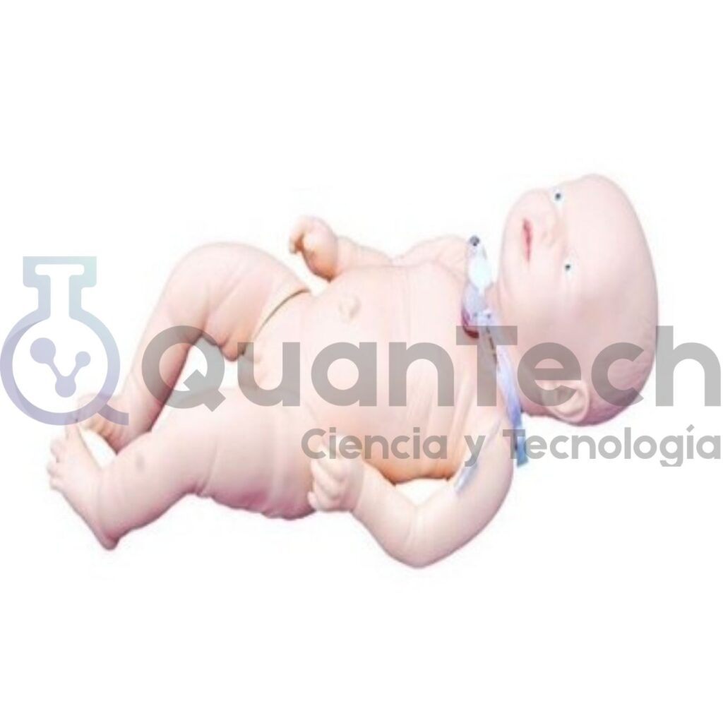 MODELO ANATOMICO DE BEBE PARA TRAQUEOTOMÍA INFANTIL – Quantech
