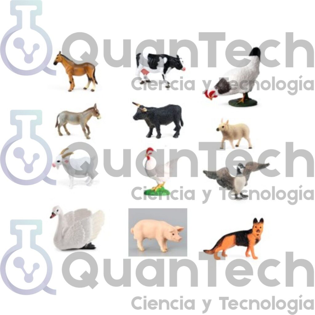 ANIMALES DE LA GRANJA JUMBO SET DE 12PCS – Quantech