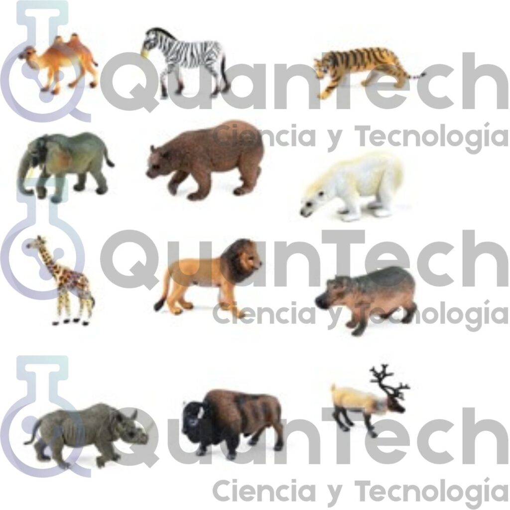 ANIMALES DE LA SELVA JUMBO SET DE 12 PCS – Quantech